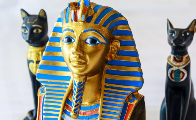 Get to Know Your Familiar - Wicca Academy