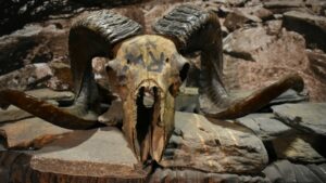 Who are the Moon Goddess and the Horned God? - Wicca Academy