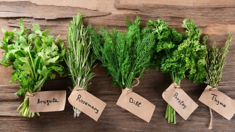 13 Best Herbs for a Witch's Garden - Wicca Academy