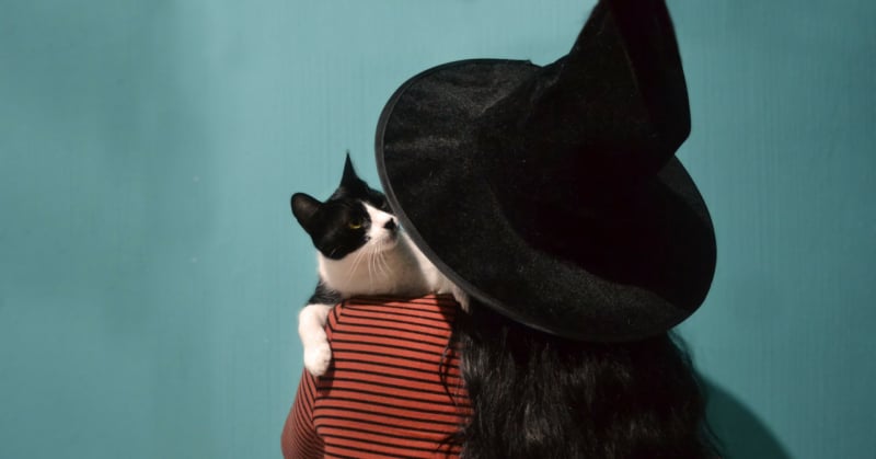 Witchy Names for Pets - Wicca Academy