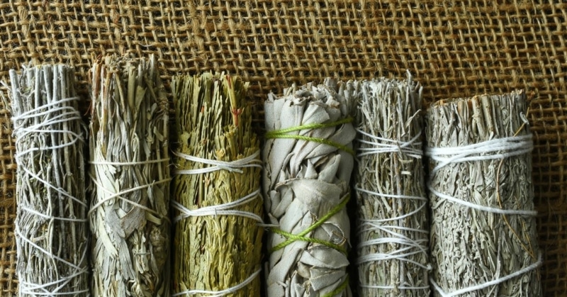 Herbs for Protection - Wicca Academy